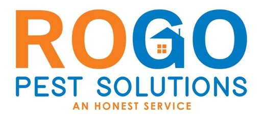 Top Pest Control in Chatsworth - ROGO Solutions